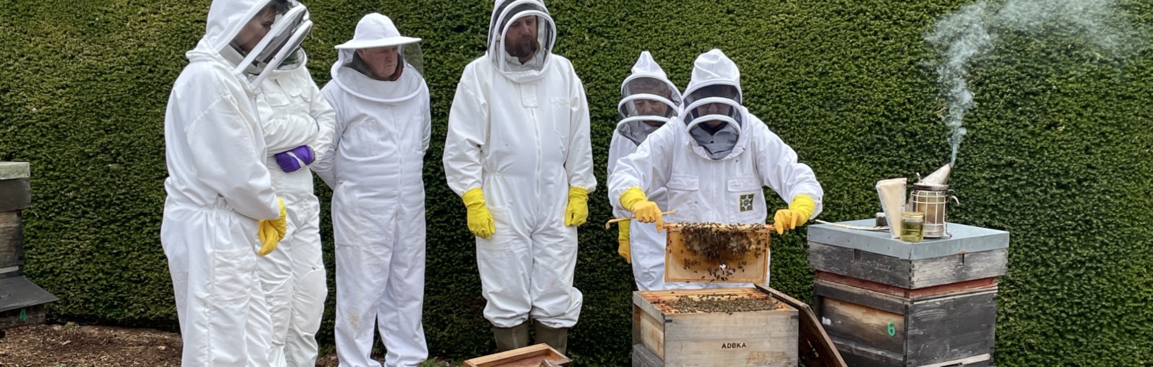 Select tickets – An Introduction to Beekeeping - 2025 – Online ...