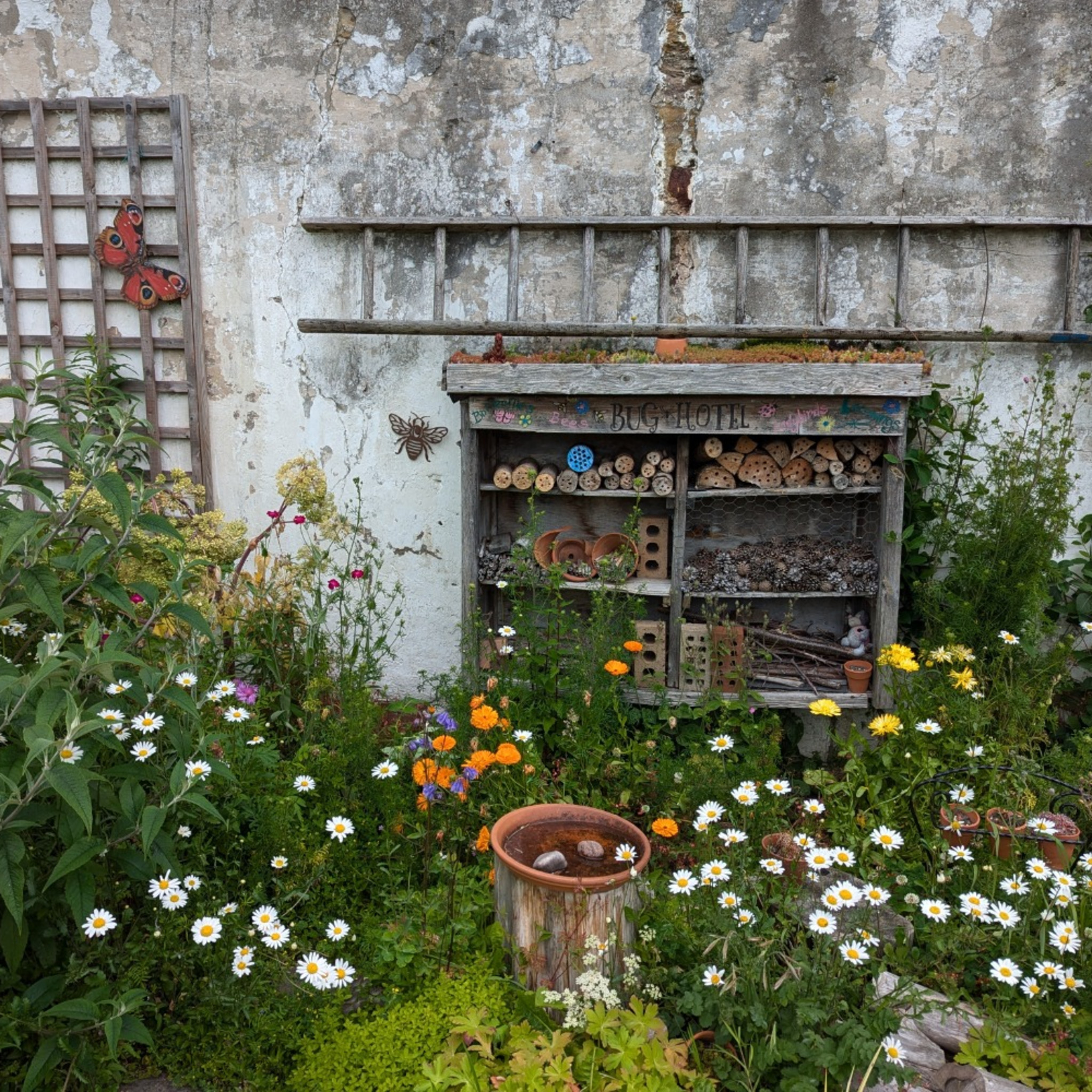 Book now – Ravenscraig Walled Garden tour – Ravenscraig Walled Gardens
