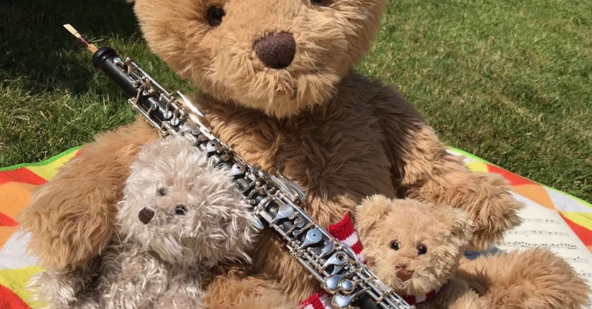 Buy Tickets – A Teddy Bear's Picnic - MIDSOMER NORTON – Orchard Hall ...