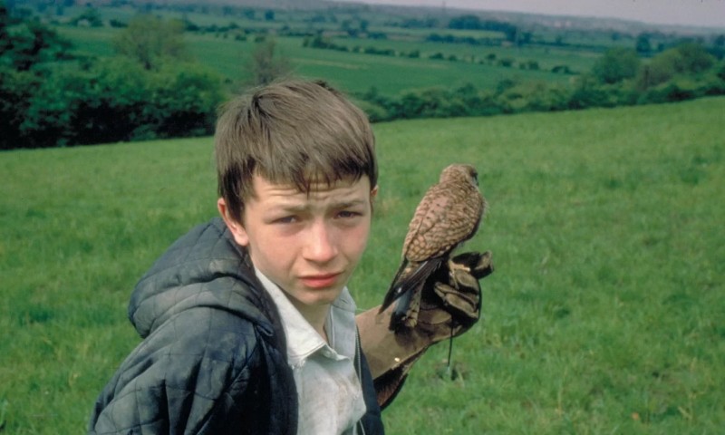 Buy tickets – KES with David Bradley (Billy Casper) – The Mockingbird ...