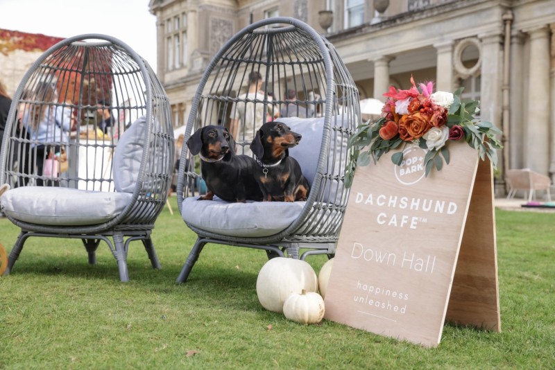 BUY TICKETS NOW – Dachshund Cafe at Down Hall Essex – Down Hall