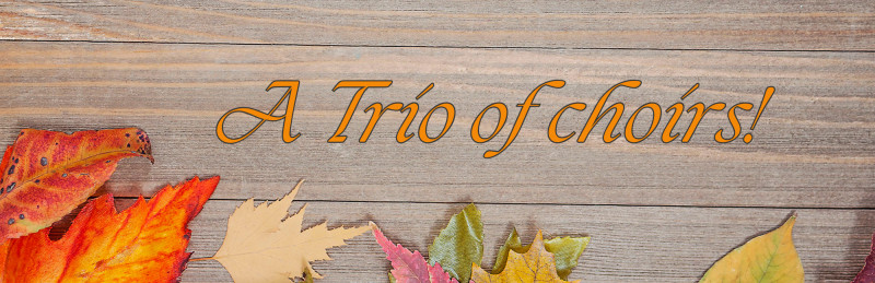 Buy tickets – A Trio of Choirs! – Kewstoke Village Hall