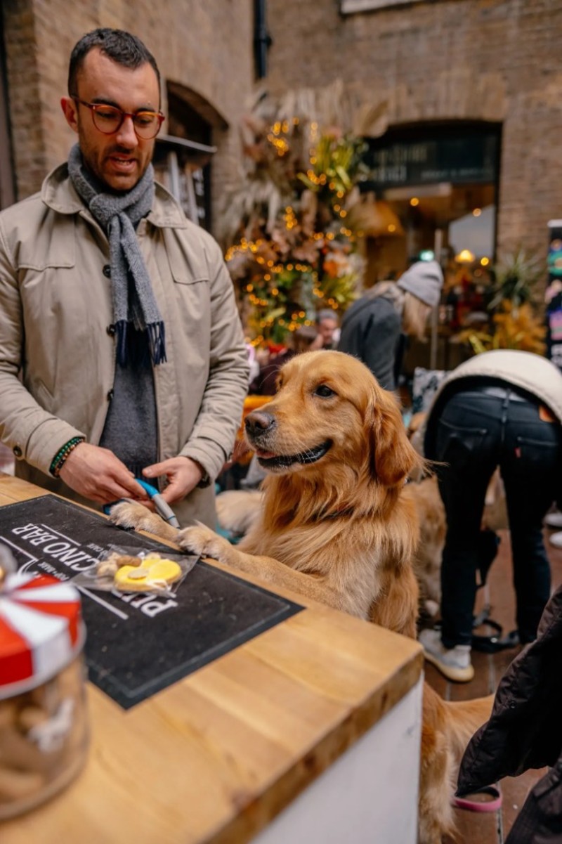 BUY TICKETS NOW – Golden Retriever Cafe - Southampton – Pitcher and Piano