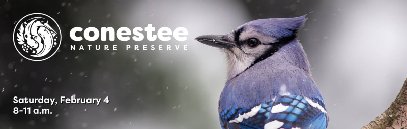 Sign up – Birding 101 - Winter Residents – Conestee Nature Preserve ...