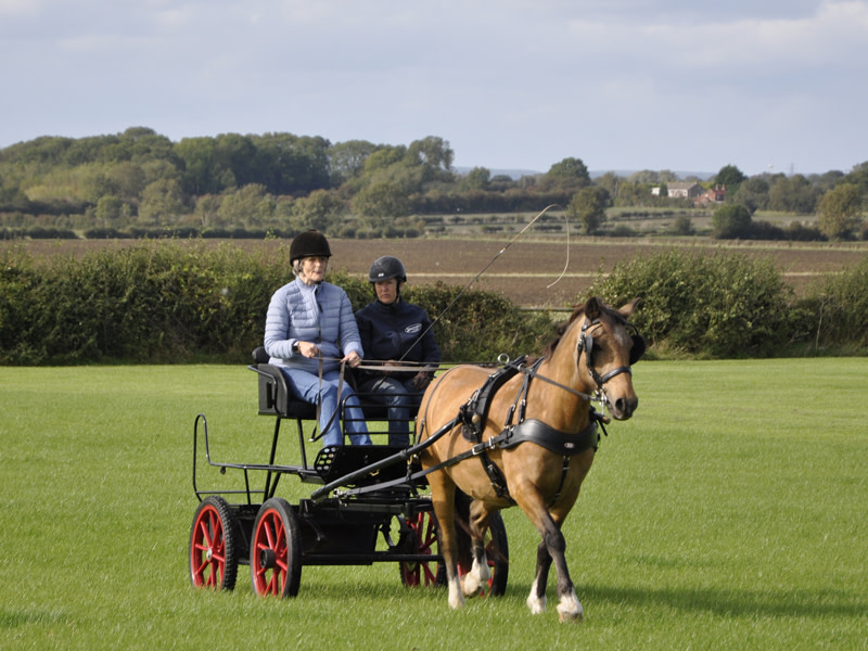 Buy tickets – Have a go at .... Carriage Driving – Bennington Carriages ...