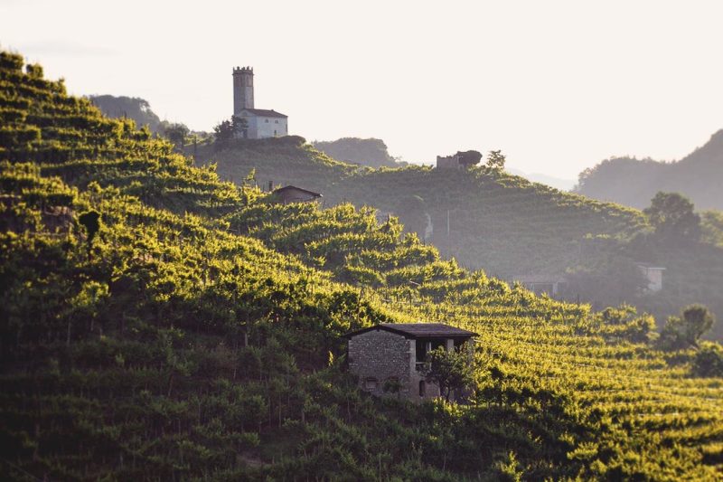 Buy Tickets – Friday Night Wine School - From Prosecco to Brunello, The ...