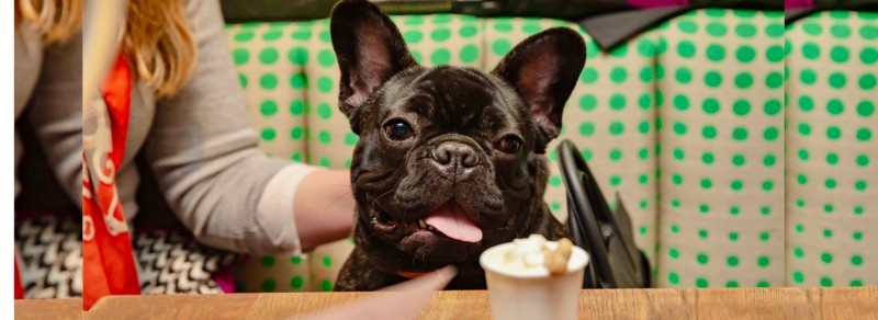 BUY TICKETS NOW – FRENCHIE CAFE™ LONDON – Revolution Leadenhall