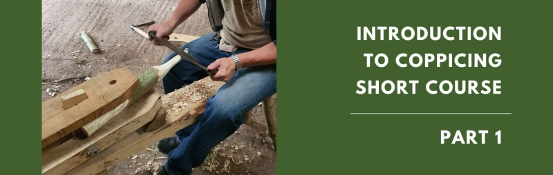 BOOK YOUR TICKETS HERE – Introduction to Coppicing - Part 1 – Talgarth ...