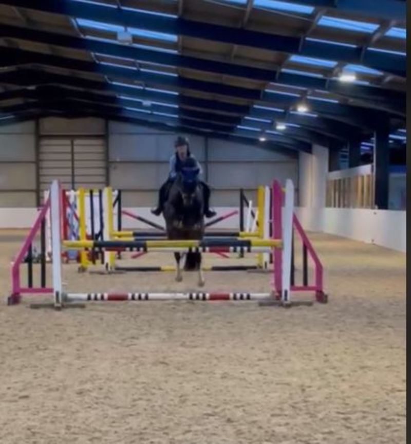 Buy tickets for Flatwork & Show Jumping Clinic with Rob Lovatt ...